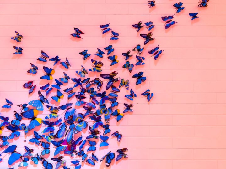 Visual Identity Essentials: What's Behind the Perfect Brand Look and Feel